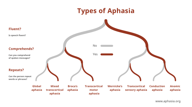 Stroke Wise: Speech, communicating, & aphasia
