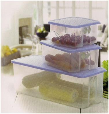 Tupperware 4 U: Fridge Storage
