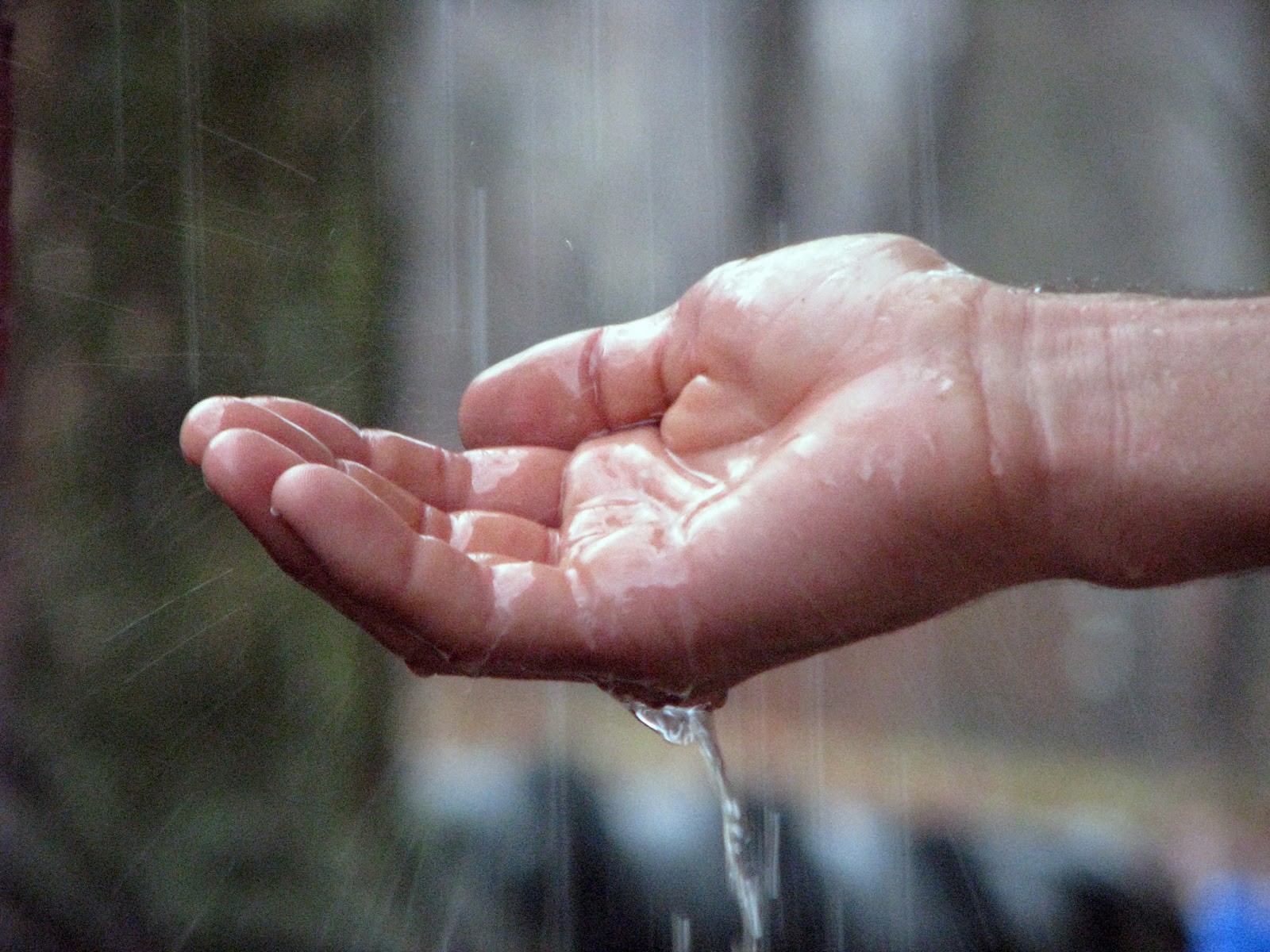 Lessons through the Lens: the overflowing life