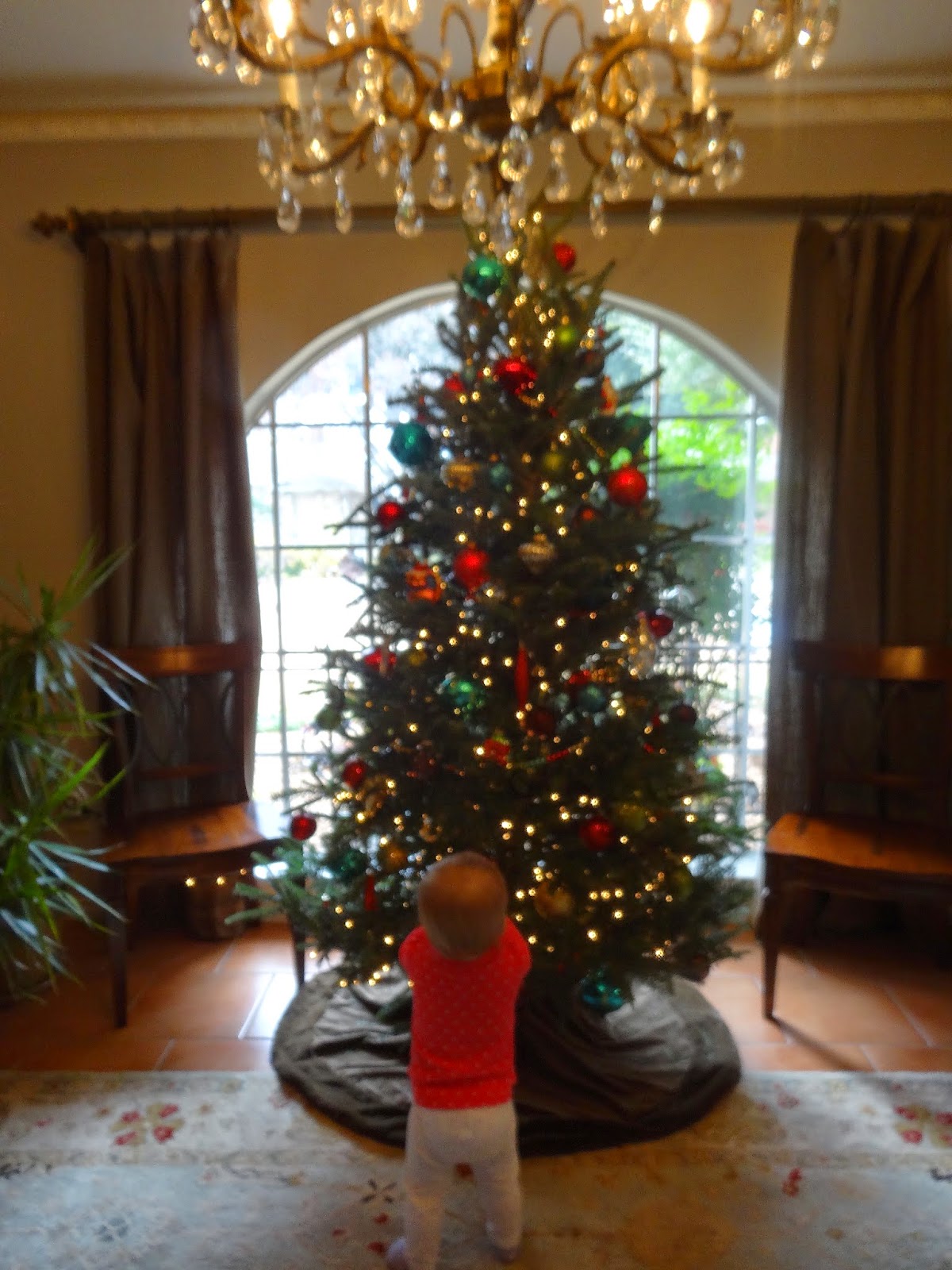 Cozy Home Interiors Christmas Tour : COZY HOME INTERIORS