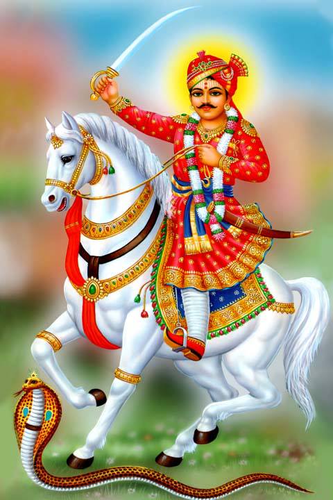 laxman ram jakhar dharasar: Goga JI & Biggaji maharaj photo