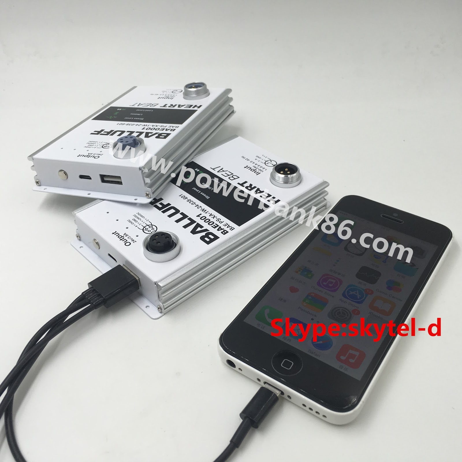 Customized Power Banks