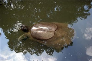 Peace, Love, and Asia...and Africa: Why I love Hanoi