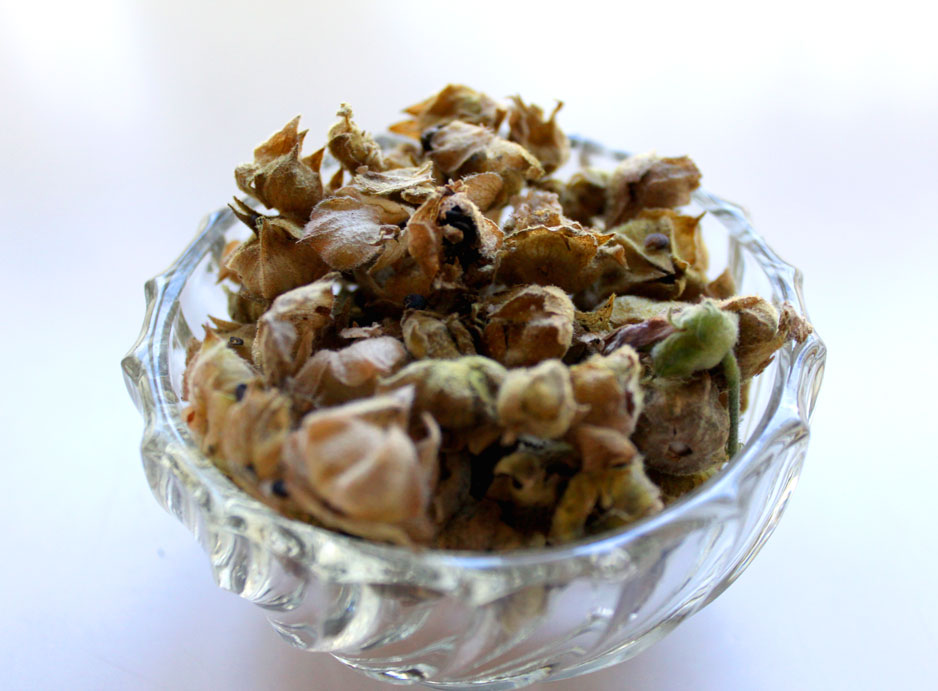 Lopotin Toimelan pihaunelmia: Siemenet talteen