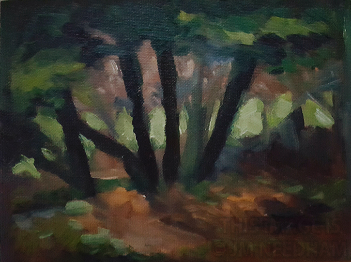 JM Needham Art Daily Painting: Forest Floor Study