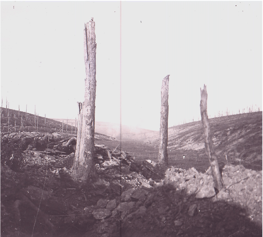 La Grande Guerre en 3D: Ravin d'Hassoule 1917. Tir de barrage