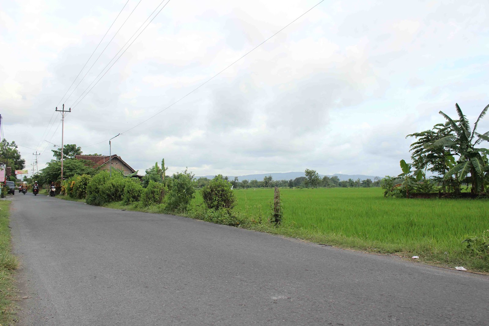 Kaliputih, Pendowoharjo, Sewon, Bantul, Yogyakarta: Profile Kaliputih