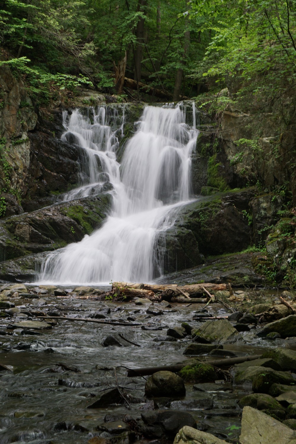 Harriman Hiker: Harriman State Park and Beyond: Constitution Marsh ...