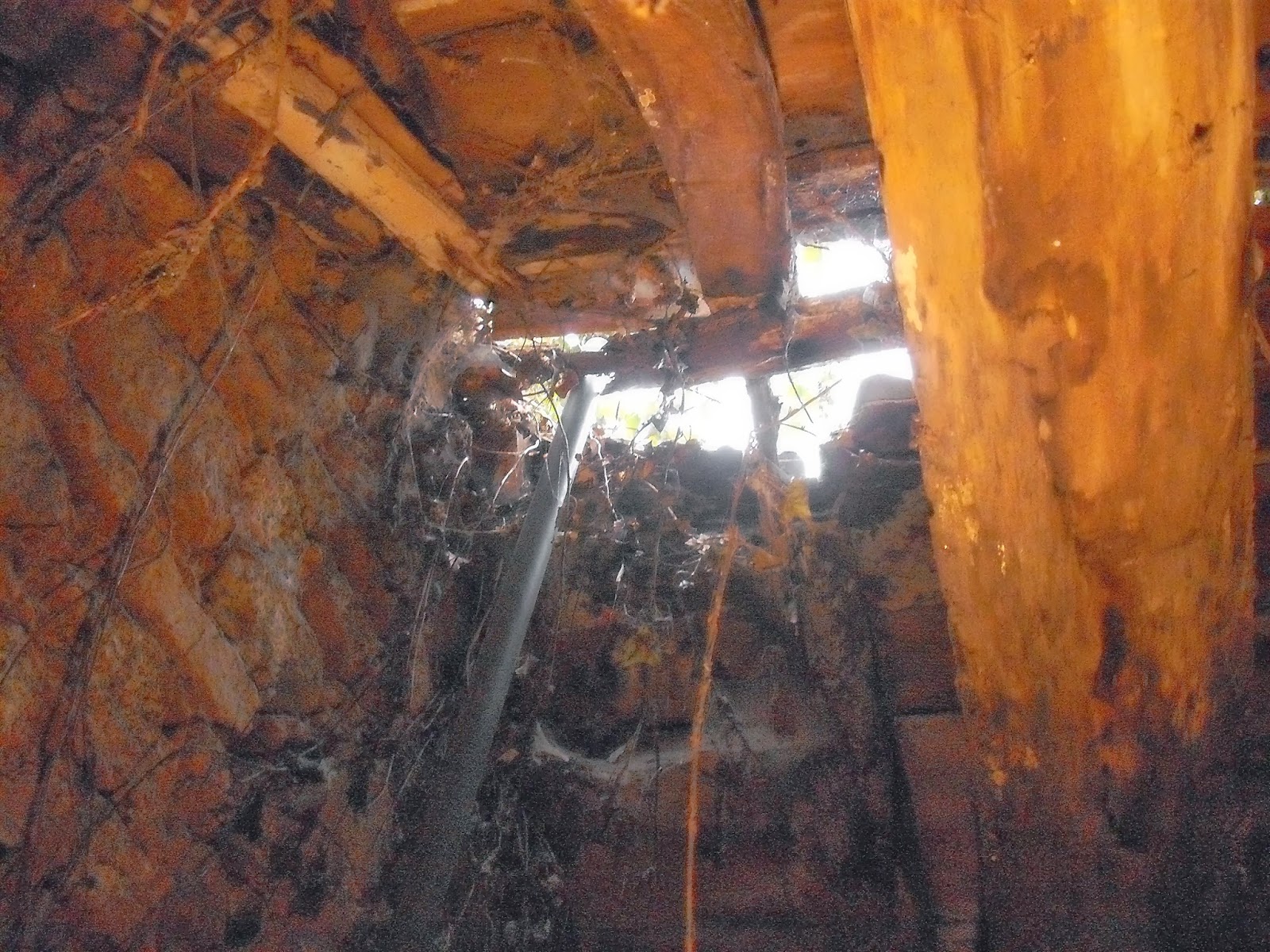 Renovation of a Derelict House in Brittany, France: Renovation Project ...