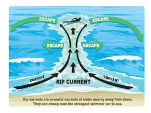 Hats and Rabbits: Riptide