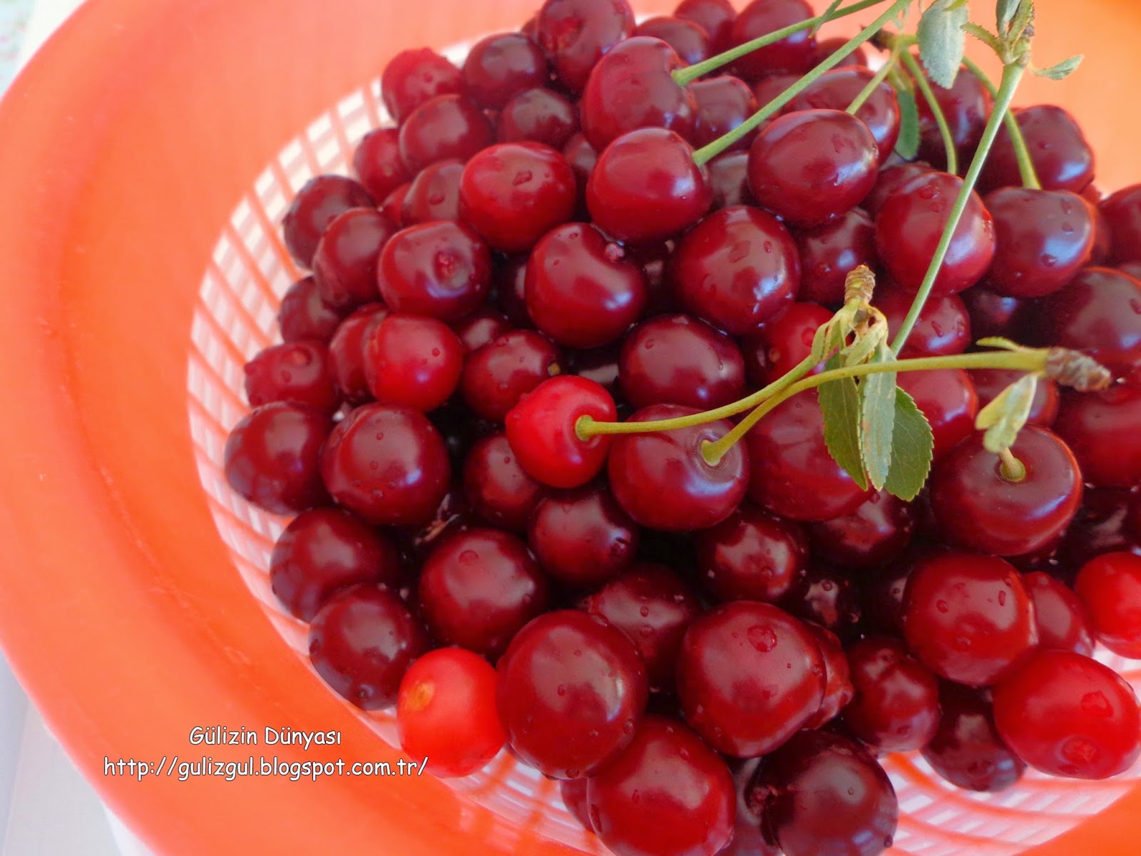 Ev Yapımı Vişne Likörü 1 - Güliz'in Dünyası..🤍💚