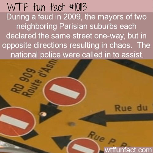 60 Crazy Facts To Truly Blow Your Mind! | Amazing WTF Facts