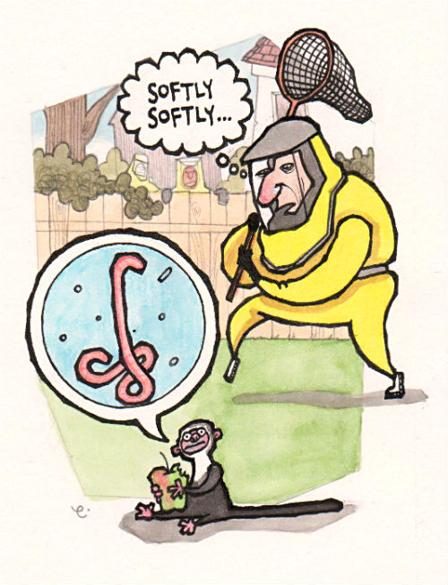 dotmund: Disaster Film Olympiad: Outbreak