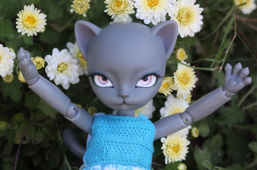 DollyPanic!: Review of Hujoo Freya