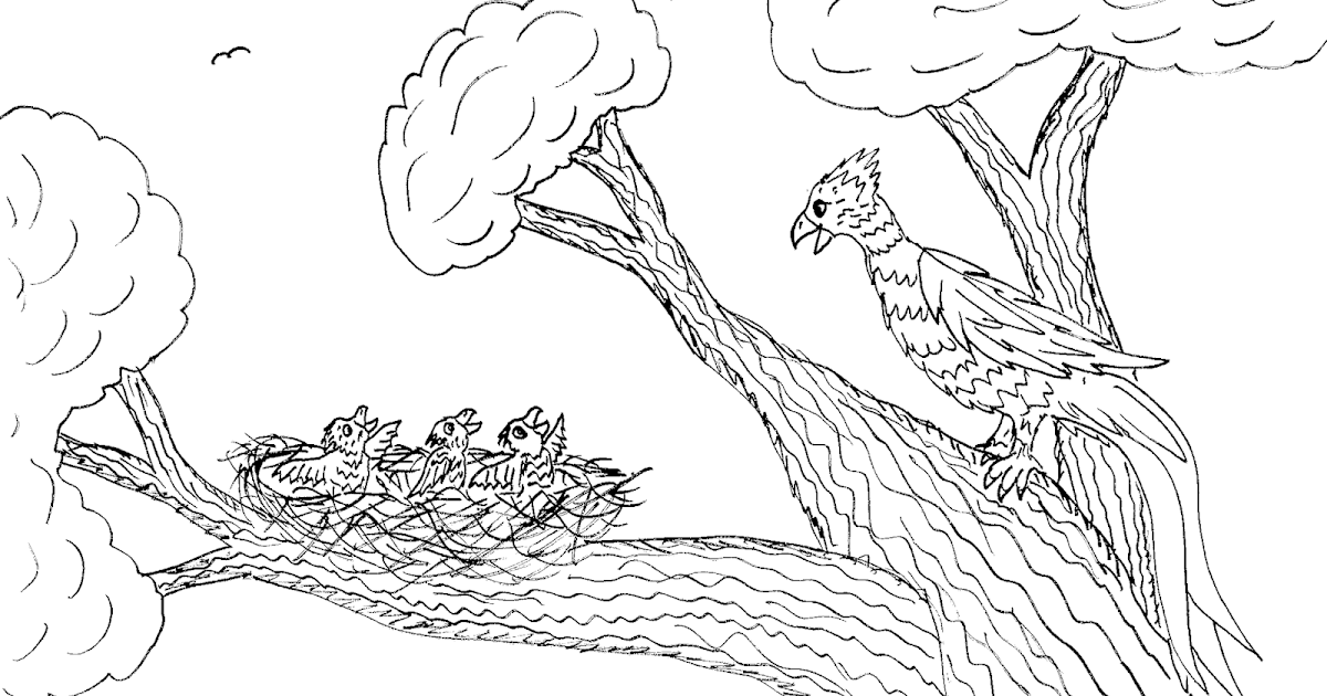 Robin's Great Coloring Pages: Phoenix Life Cycle