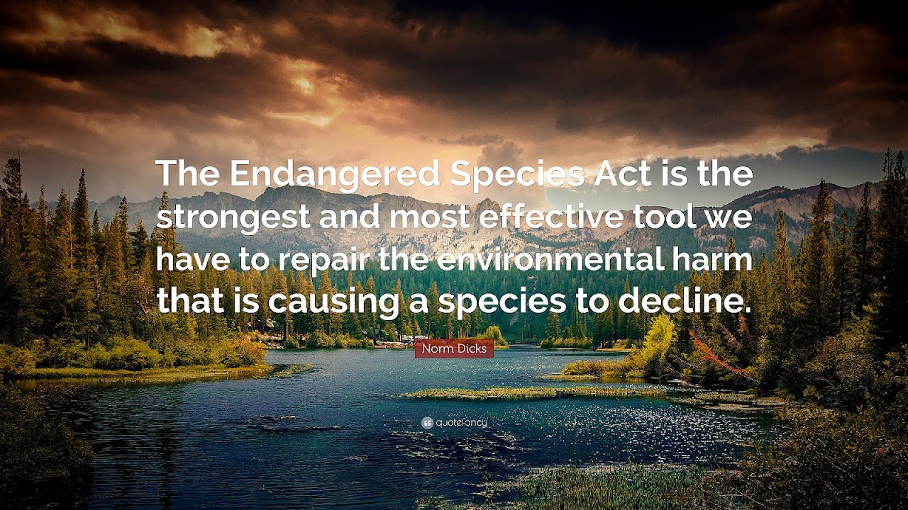 Quotes About Endangered Species - Danger Choices