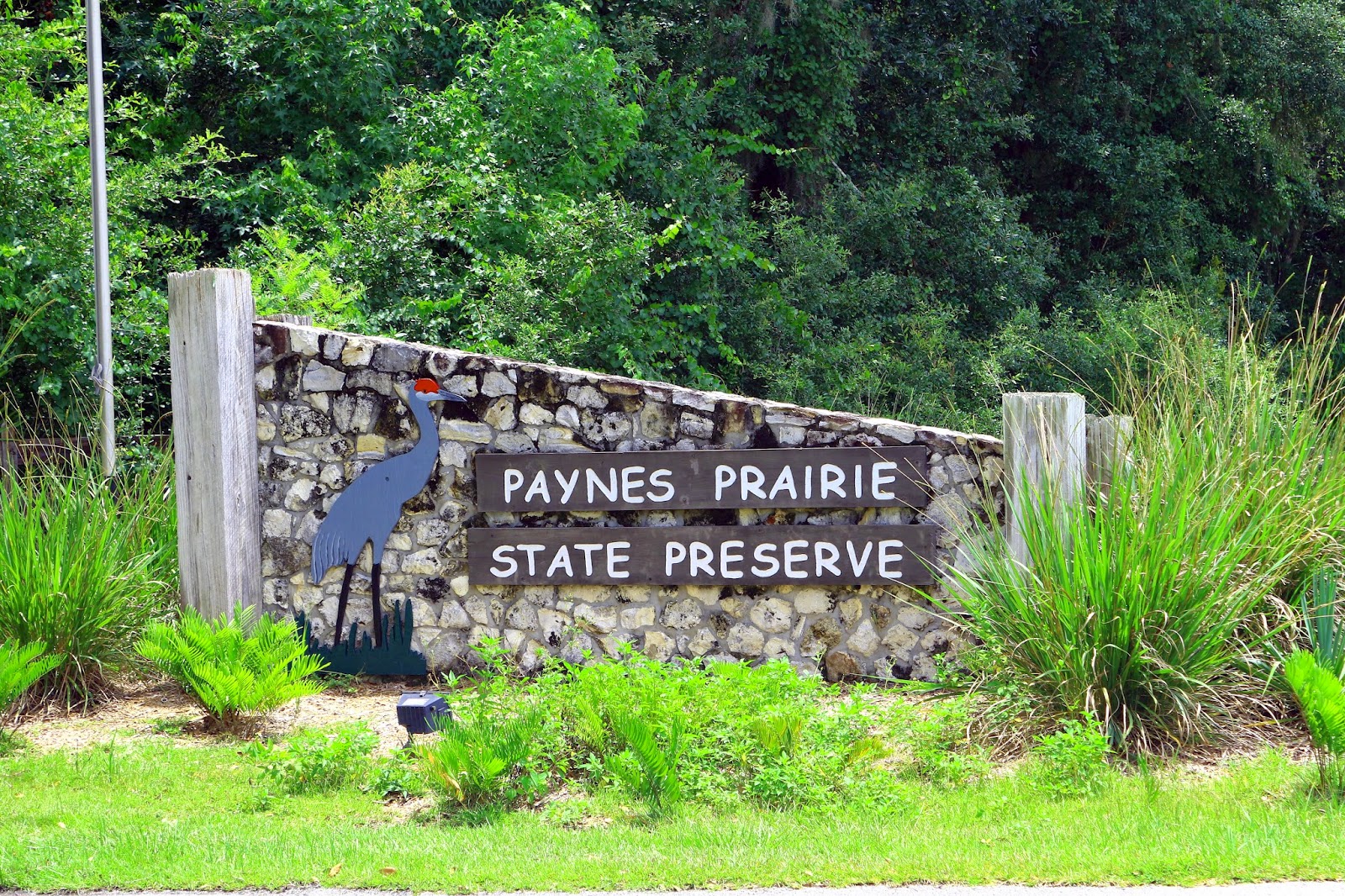 OFFWEGO!: A Weekend at Florida's Paynes Prairie Preserve State Park