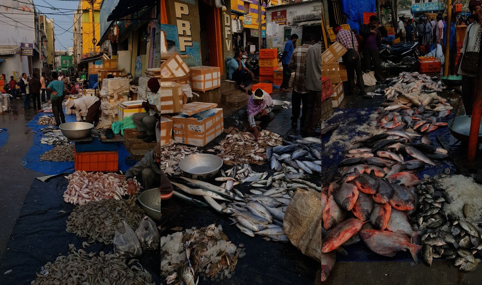 Raghu's column!: Ramnagar Fish Market – Our City’s Largest Fish Market!