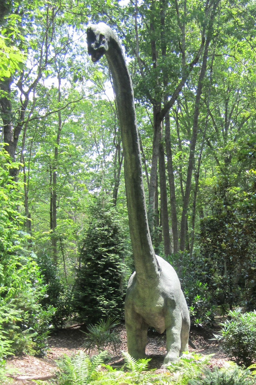 The Stir Crazy Moms' Guide to Durham: Dinosaurs at the Asheboro Zoo