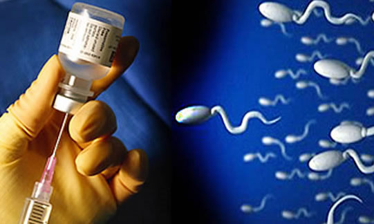 Andrea Silva: NORMA OFICIAL MEXICANA, NOM 005-SSA2-1993, De los ...