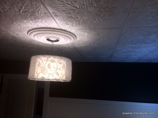 The Feral Turtle: Ceiling Tiles Are In!! Canada Ceiling Tiles Gets a Big F!