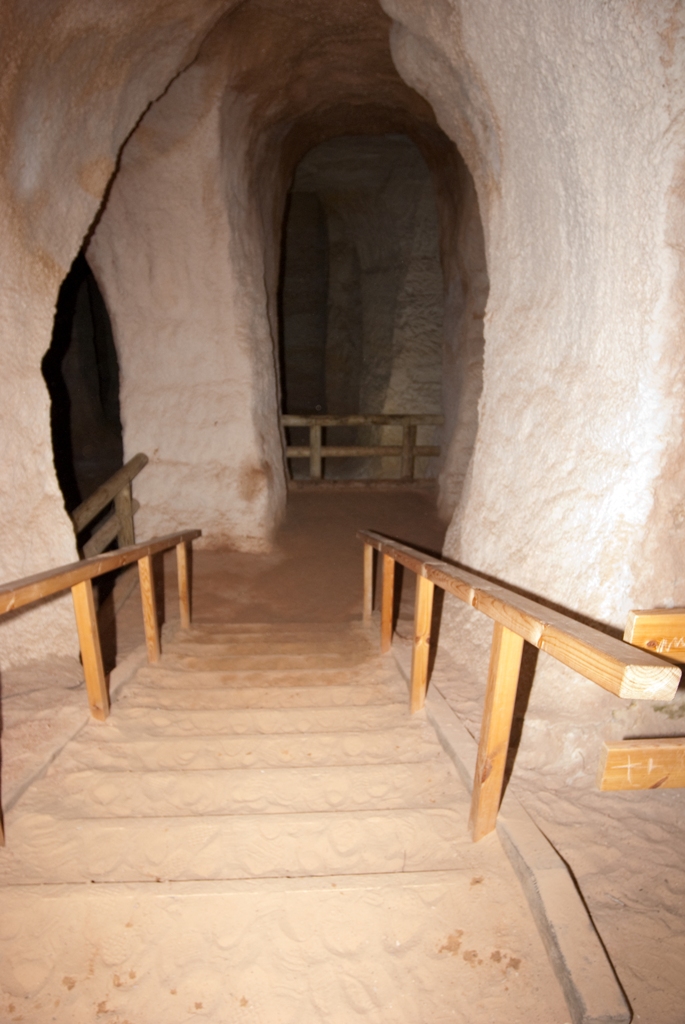 Sämmipildid: Piusa koopad