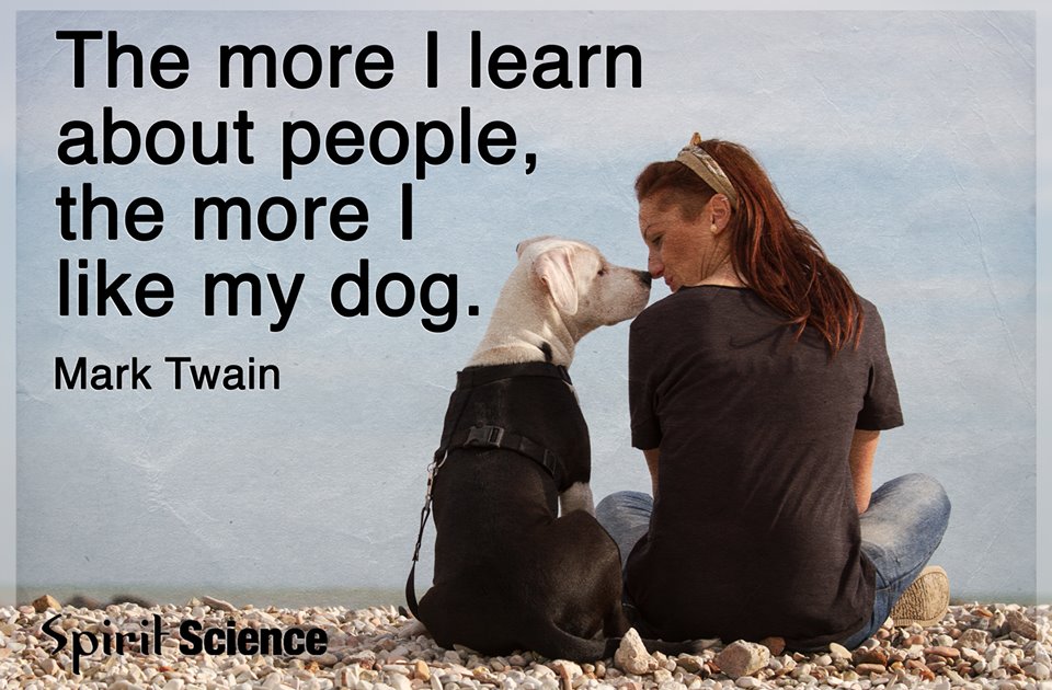 The more I learn about people the more I like my dog.
