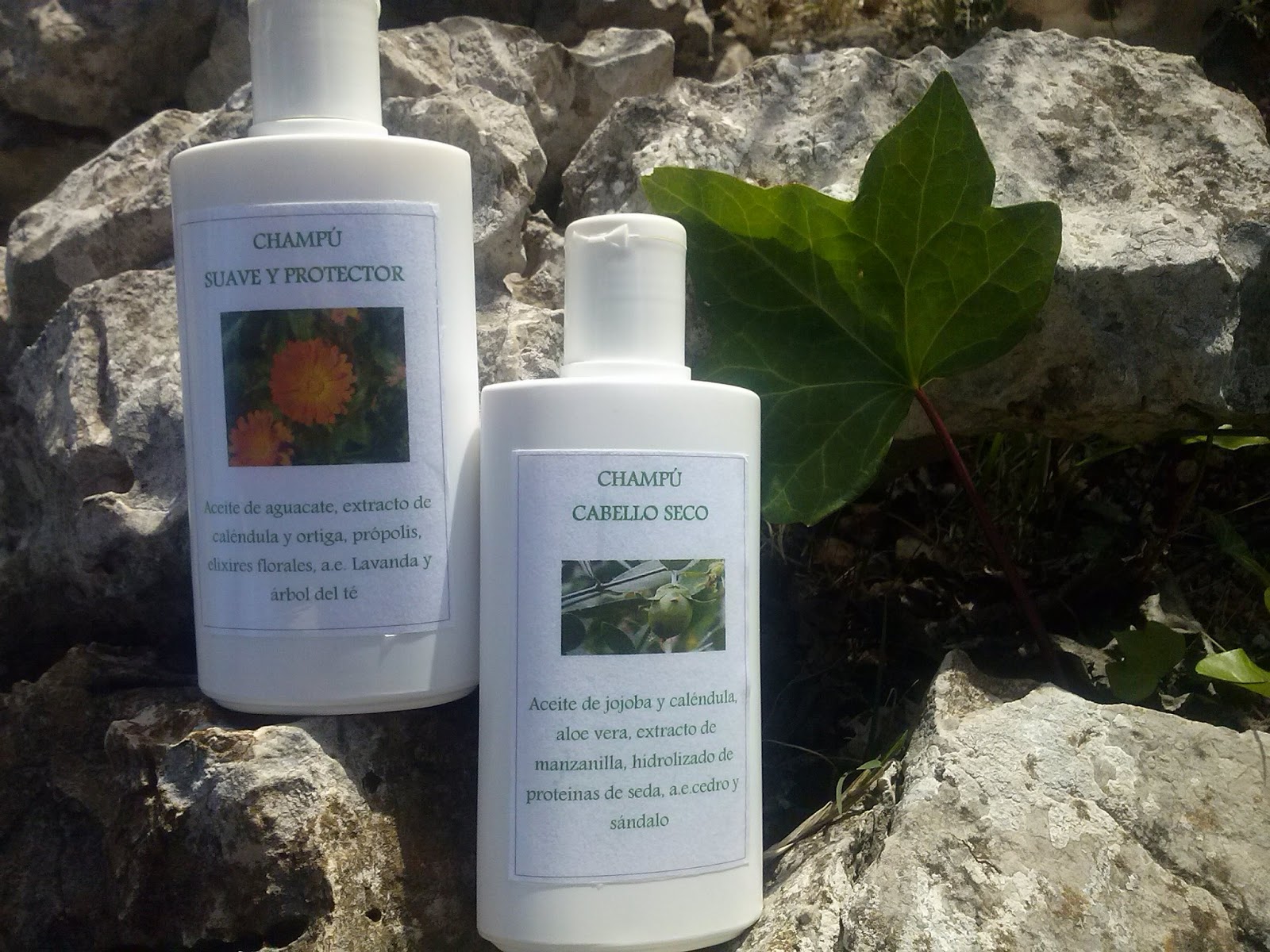 Jasminium terapias naturales: ELABORANDO MIS PRODUCTOS "champús naturales"