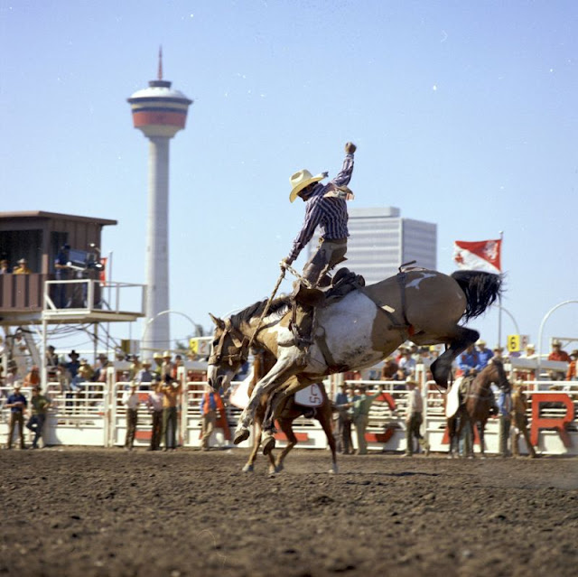 The Calgary Stampede: One of the Largest Outdoor Rodeos in the World ...