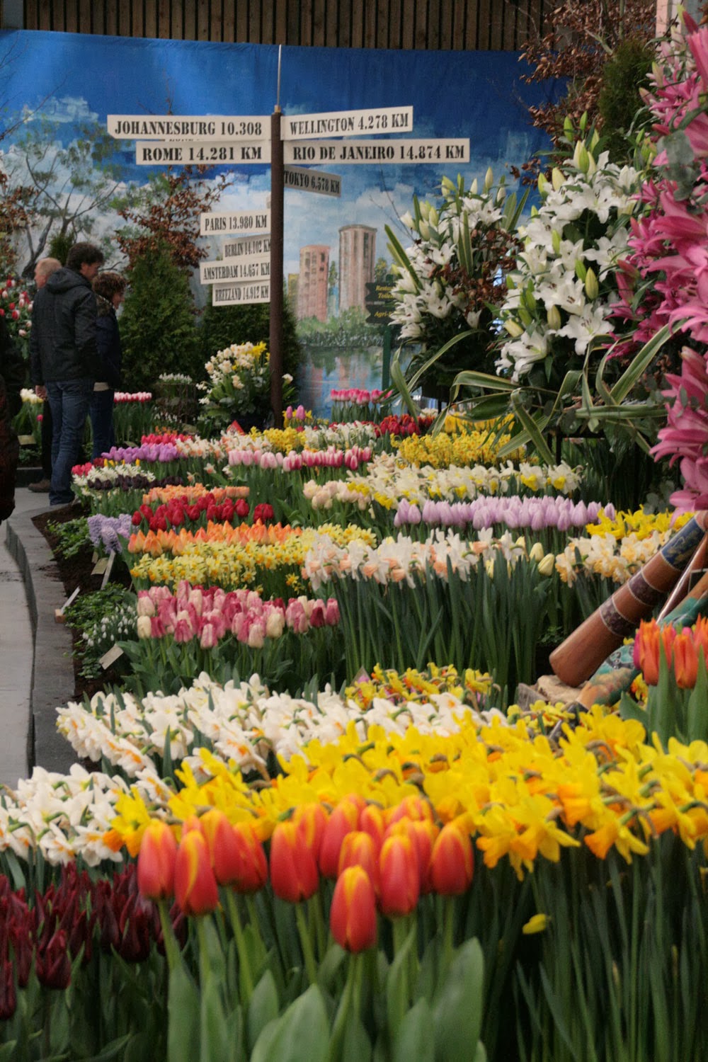 Terug naar Australië: Lentetuin; Australië tussen de tulpen (week 9 van ...