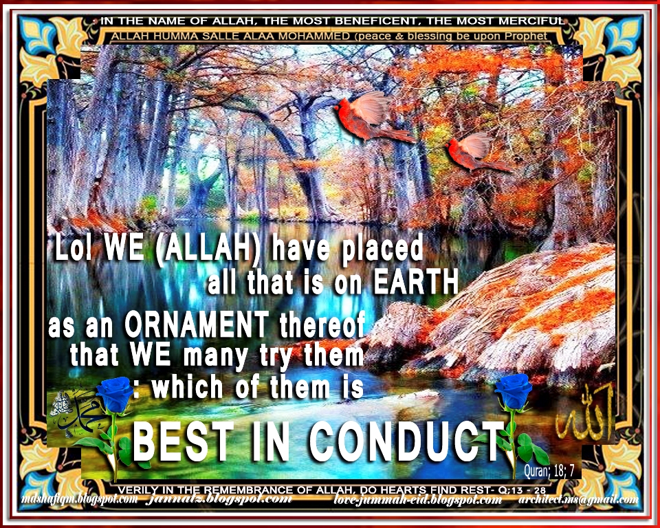JANNATs for MUSLIMs - BELIEVERs: TRUST IN ALLAH - Tawakkul