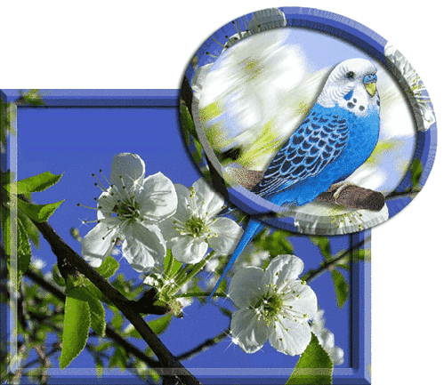 Pory roku : Gify i wierszyki wiosenne