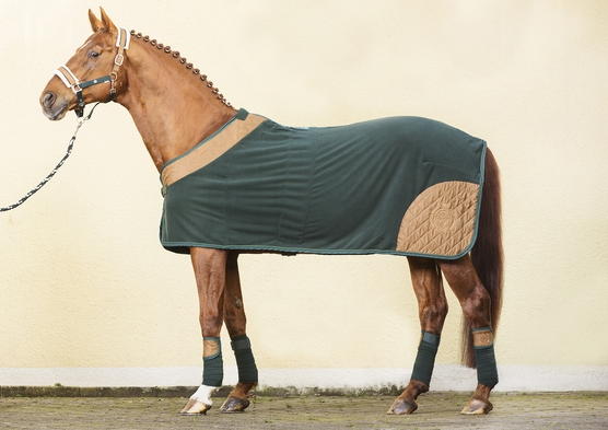 LB Equestrian: [Laura Loves] HKM Lauria Garrelli Champagne Collection