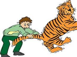 Lynn's little bit of trivia : Grab that Tiger by the Tail