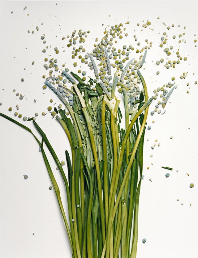 [PHOTOGRAPHY] Shattered Flowers by Jon Shireman - ART FOR YOUR WALLPAPER