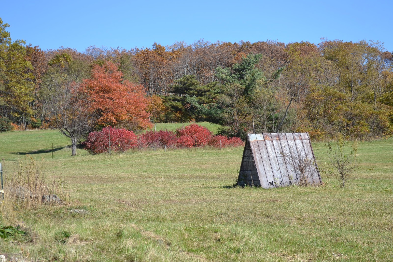 Rocky Knob Blog: Old farm in fall