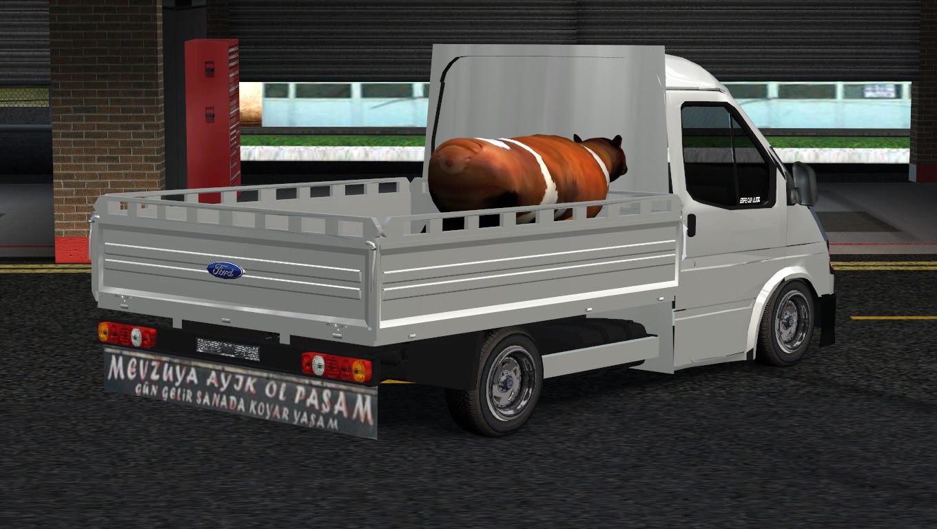 LFS Transit Kasalı İNDİR