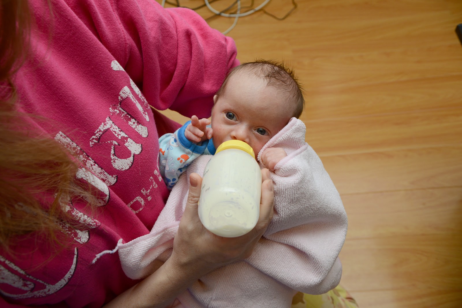 Small Animal Talk: Furbabies vs human babies: what do functional MRIs say?