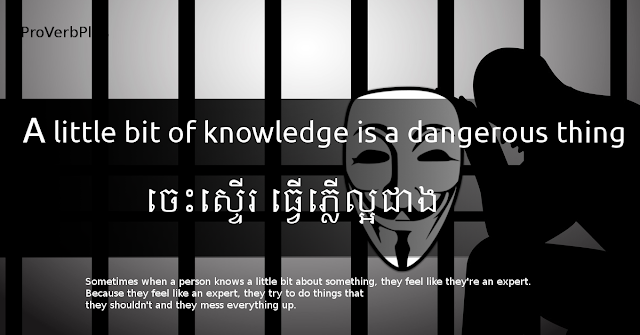 3. A little bit of knowledge is a dangerous thing - Proverb 50 Plus ...