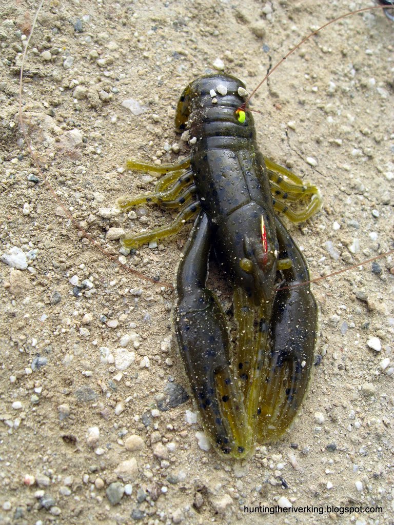 Fisherman's Retreat Bass Fishing Blast in Redlands - Hunting the River King