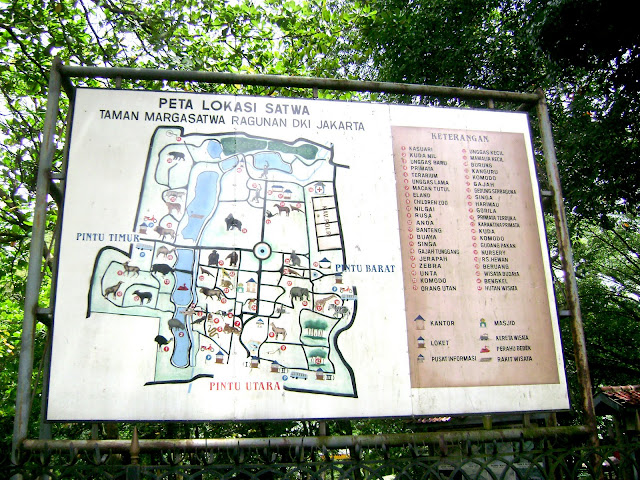 Traveling ala Panda: Taman Margasatwa Ragunan: Numpang Lewat