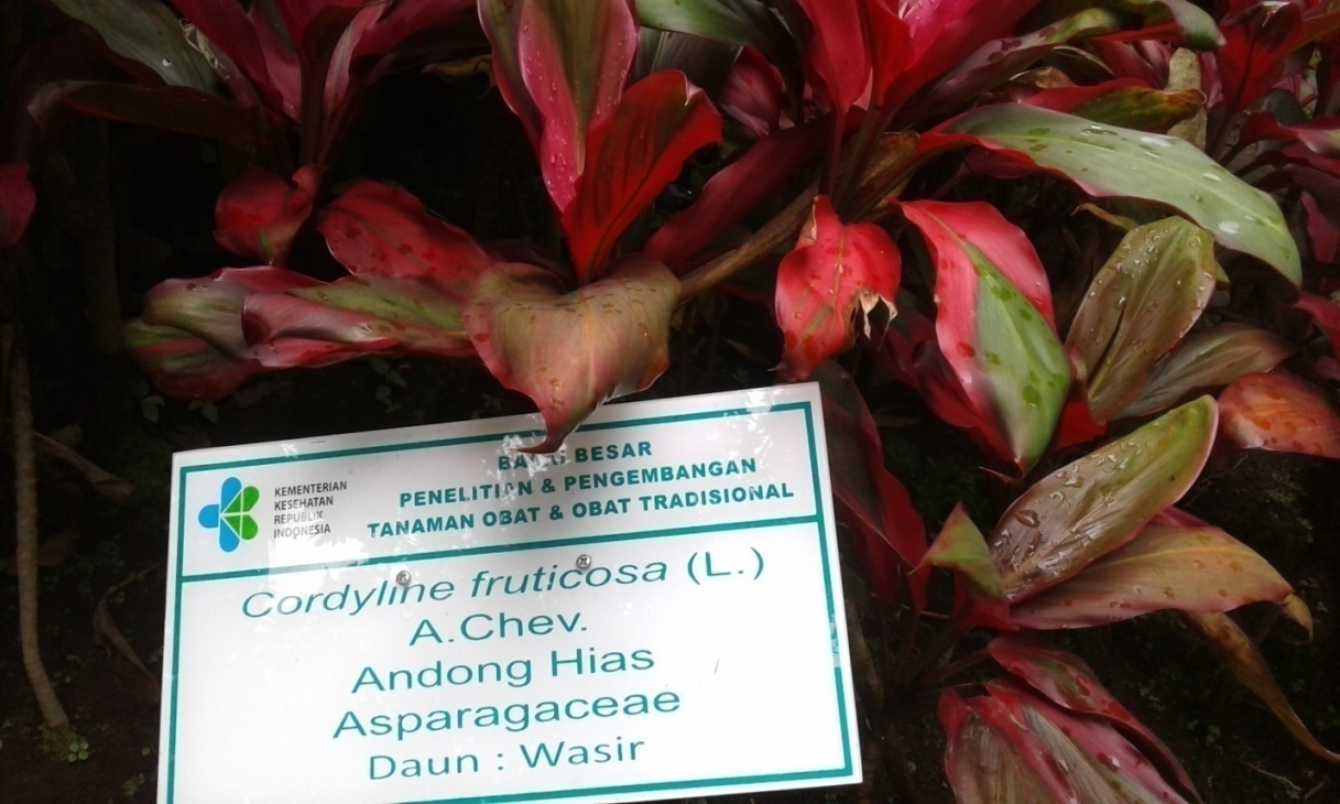 Nama-nama Simplisia 4 - Farmakognosi Simplisia