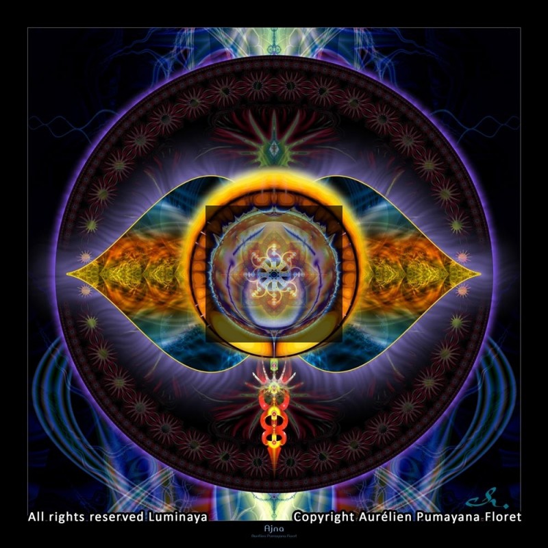 Legacy of Wisdom: AJNA CHAKRA