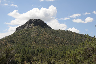 Arizona Hiking: PINE LAKES TRAIL #316