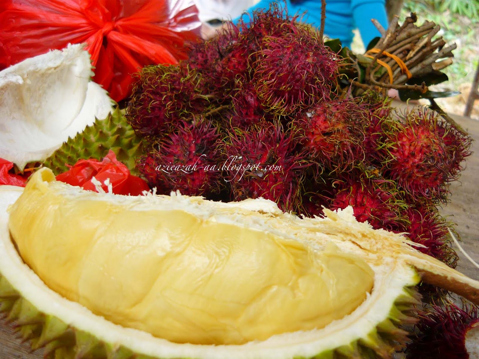 Interesting Green: Durian parties revive kampung spirit