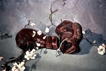 BOXING LEDGER | LATEST BOXING BLOGS | BOXING ARTICLES | BOXING BLOG ...