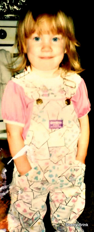 Sherry Brink's Family History - Free Memories: Brink Photos