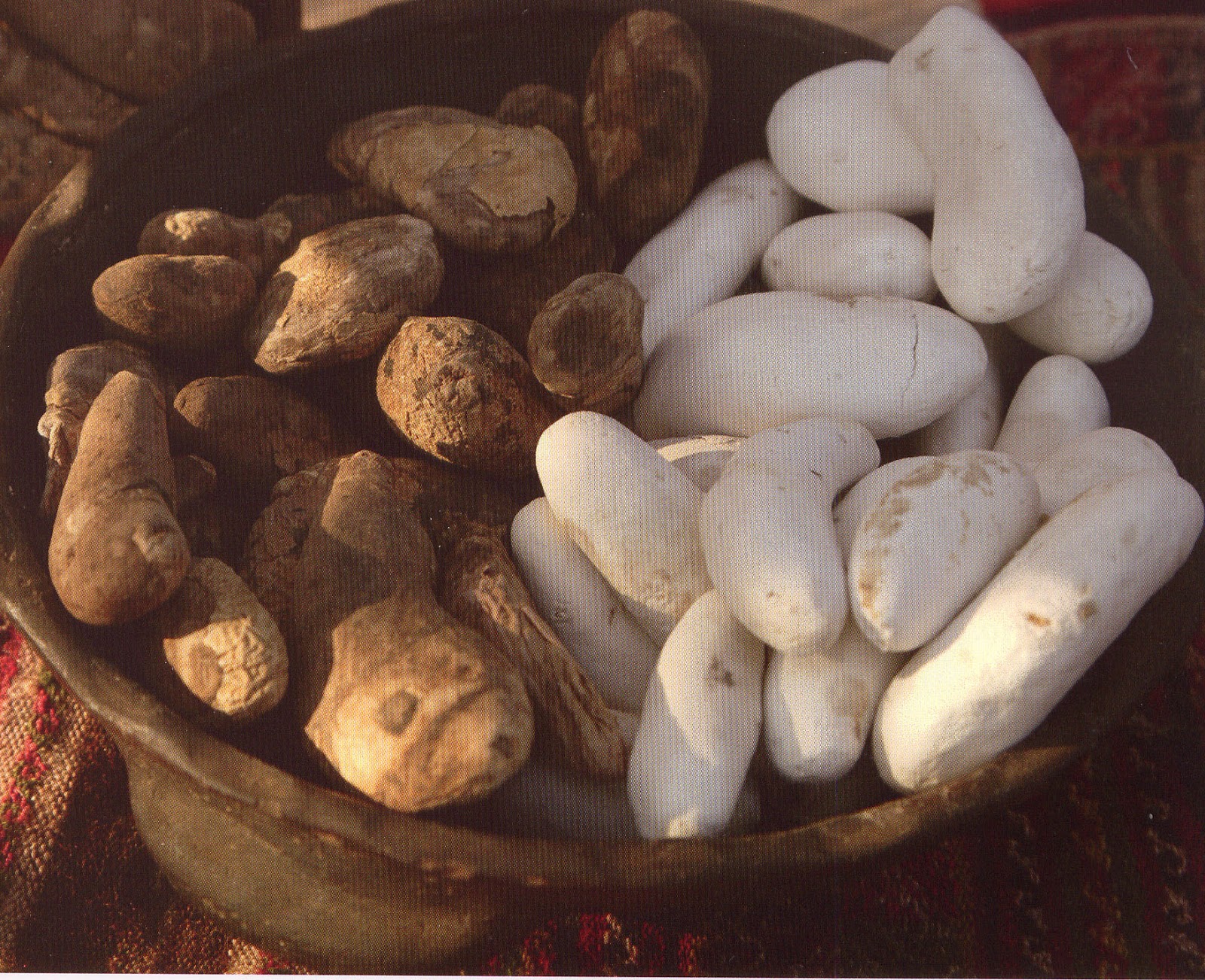 Cocinarte Chile: Chile, algo de la cocina local nortina.