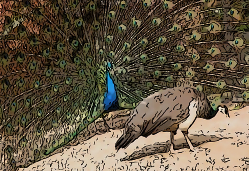 Animal Picture Quiz | Picture Quiz Questions