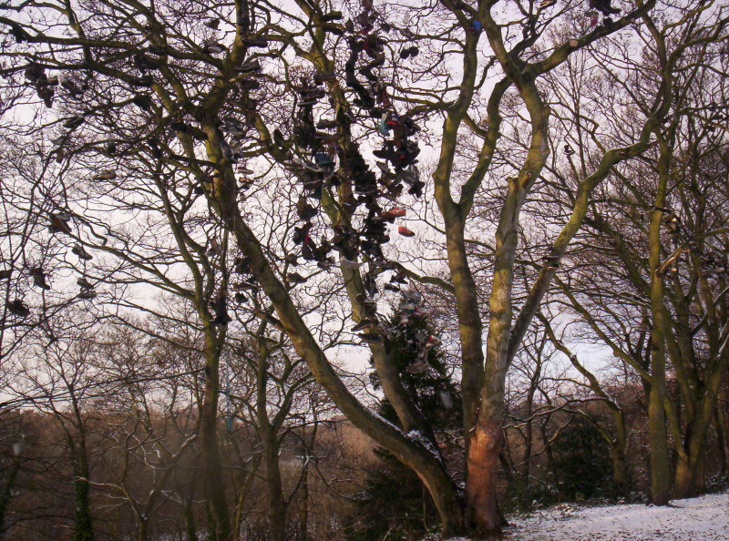 Photographs Of Newcastle: Armstrong Park - The Shoe Tree